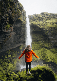 Iceland Trees: Forests & Reforestation Facts